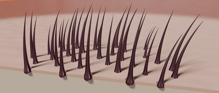 Understanding the 3 Stages of Hair Growth | Hair Doctors